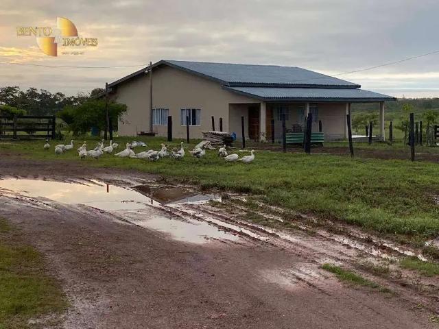 Fazenda para Venda em Pimenta Bueno/RO Zona Rural