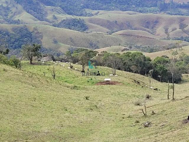 Fazenda para Venda em Pindamonhangaba/SP Centro