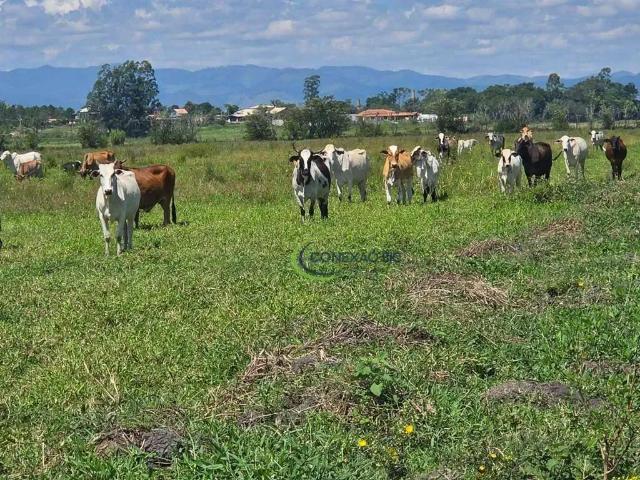Fazenda para Venda em Pindamonhangaba/SP Triângulo 7 Quartos