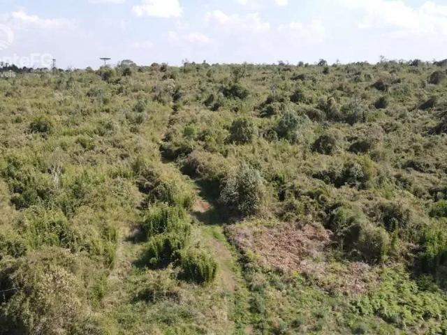 Fazenda para Venda em Pinhão/PR Zona Rural