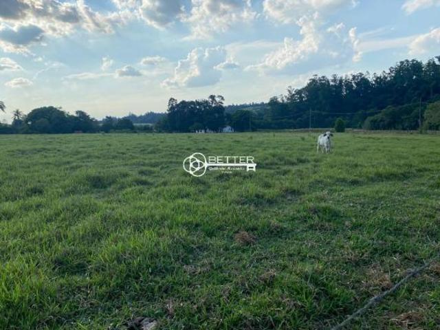 Fazenda para venda em Pinheirinho, Itu