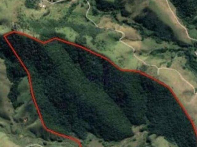 Fazenda para venda em Piquete