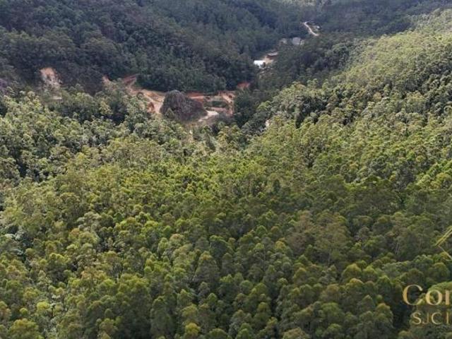 Fazenda para venda em Piquete