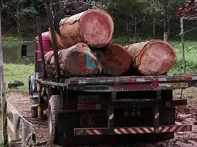 Fazenda para Venda em Piquete/SP Centro