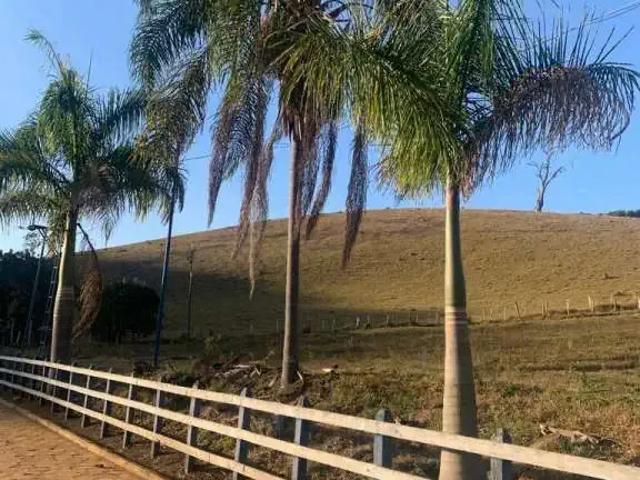 Fazenda para Venda em Piranguinho/MG Zona Rural 4 Quartos