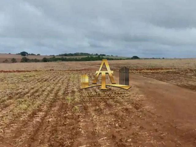 Fazenda para Venda em Piracanjuba/GO Zona Rural 1 Quartos