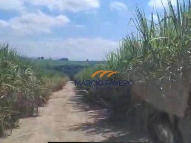 Fazenda para venda em Piracicaba