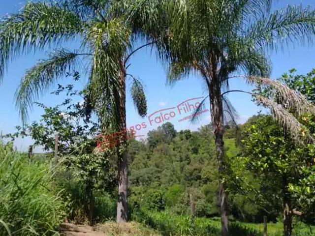 Fazenda para Venda em Piracicaba/SP Tupi