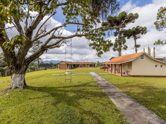 Fazenda para Venda em Piraquara/PR Planta Laranjeiras 6 Quartos