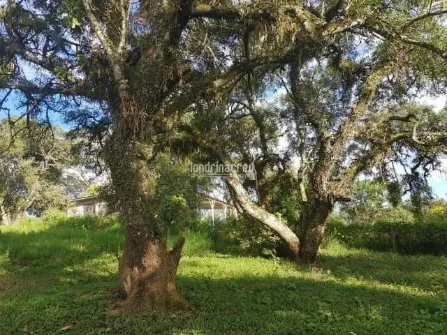 Fazenda para Venda em Piraquara/PR Zona Rural