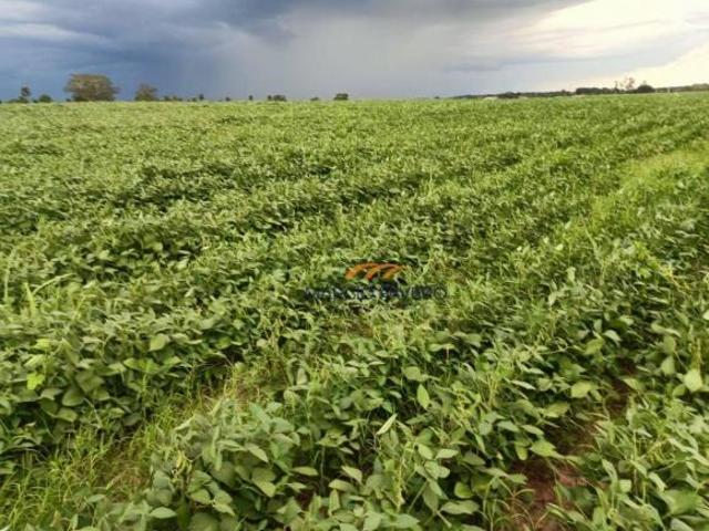 Fazenda para venda em Pirassununga