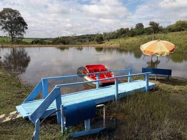 Fazenda para Venda em Piratininga/SP Centro 5 Quartos