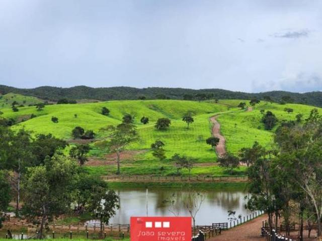 Fazenda para Venda em Pirenópolis