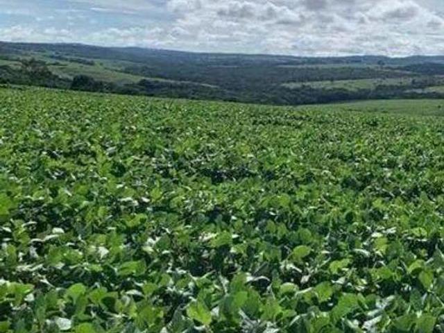 Fazenda para Venda em Pires do Rio