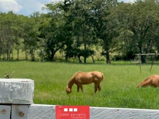 Fazenda para Venda em Planaltina, 3 dormitórios, 1 suíte, 2 banheiros