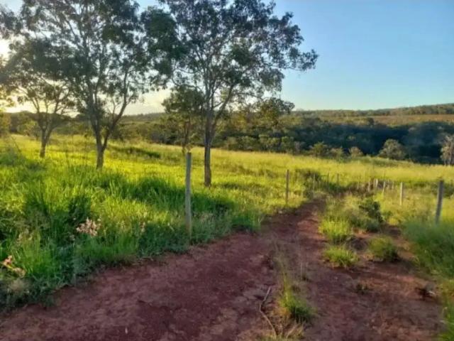 Fazenda para Venda em Planaltina/GO São Gabriel