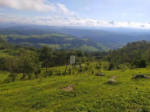 Fazenda para Venda em Prudentópolis/PR Zona Rural