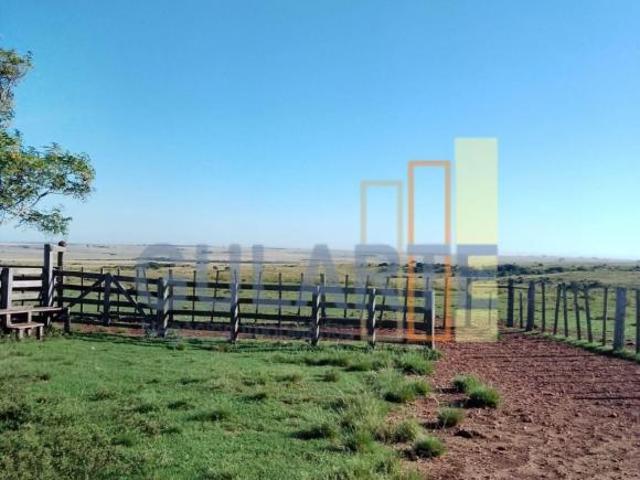 Fazenda para venda em Prado, Santana do Livramento