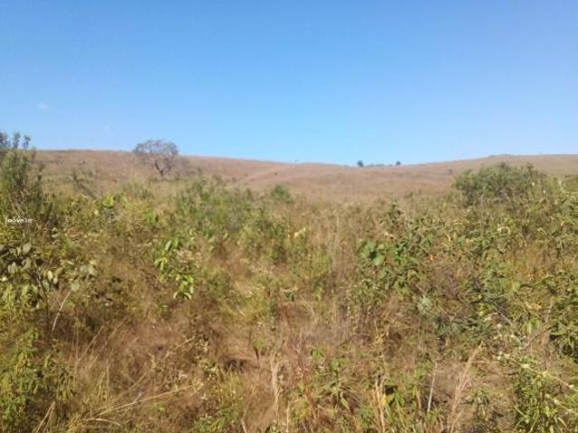 Fazenda para venda em Prados