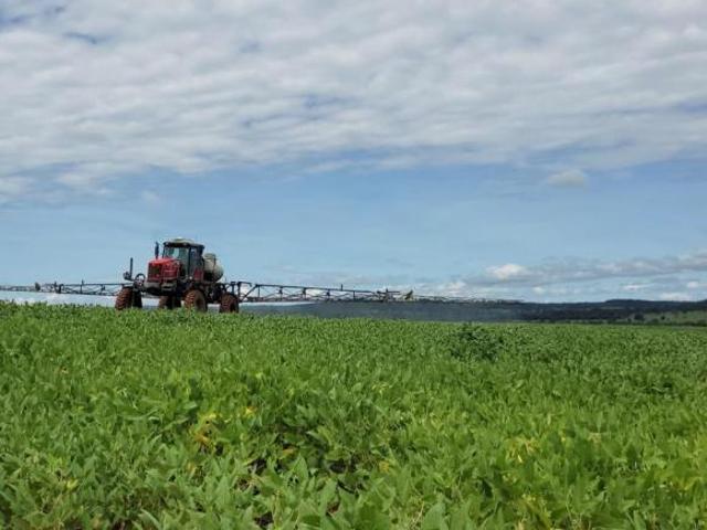 Fazenda para Venda em Prata, Zona Rural