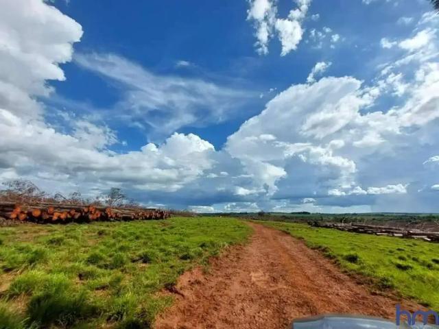 Fazenda para Venda em Prata/MG Zona Rural