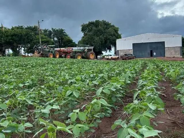 Fazenda para Venda em Prata/MG Zona Rural