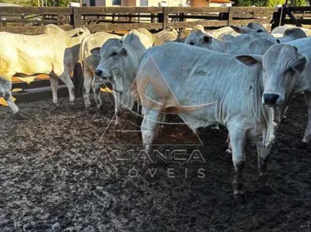 Fazenda para Venda em Prata/MG Zona Rural 1 Quartos