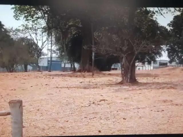 Fazenda para Venda em Prata/MG Zona Rural