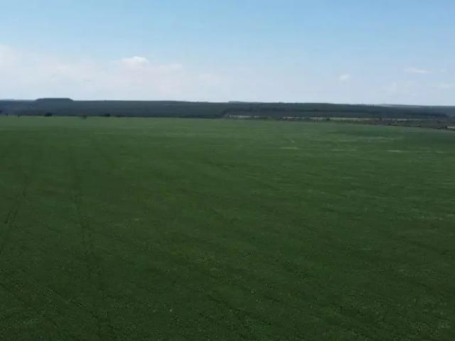 Fazenda para Venda em Prata/MG Zona Rural