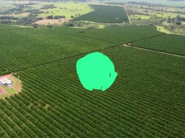 Fazenda para Venda em Prata/MG Zona Rural