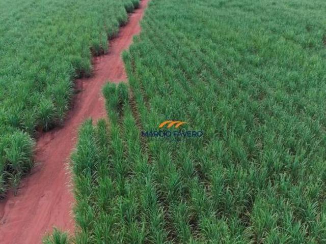 Fazenda para venda em Presidente Venceslau