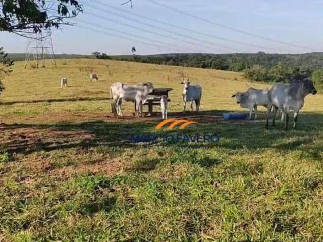 Fazenda para venda em Presidente Alves