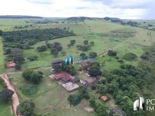 Fazenda para Venda em Presidente Alves/SP Zona Rural 4 Quartos