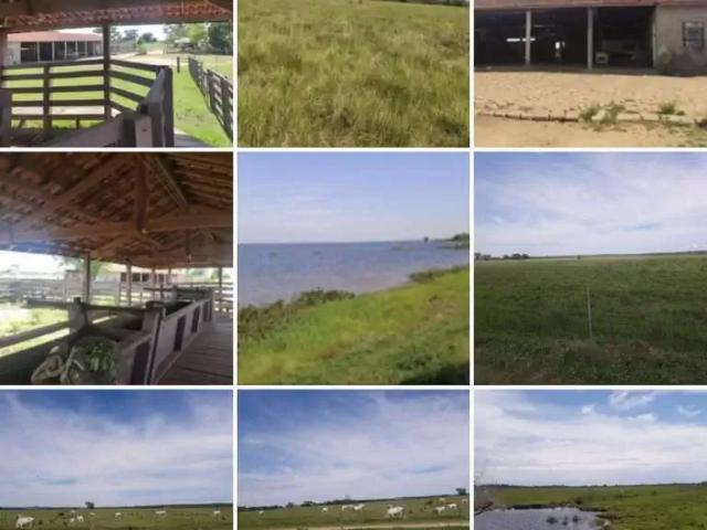 Fazenda para Venda em Presidente Epitácio/SP Zona Rural 3 Quartos