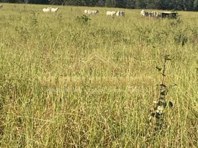 Fazenda para venda em Presidente Juscelino