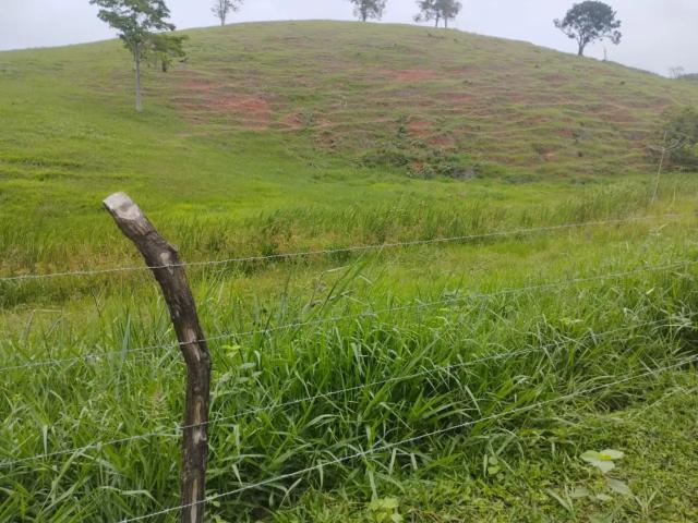 Fazenda para Venda em Presidente Kennedy/ES Centro