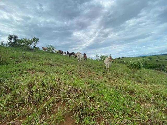 Fazenda para Venda em Presidente Kennedy/ES Centro