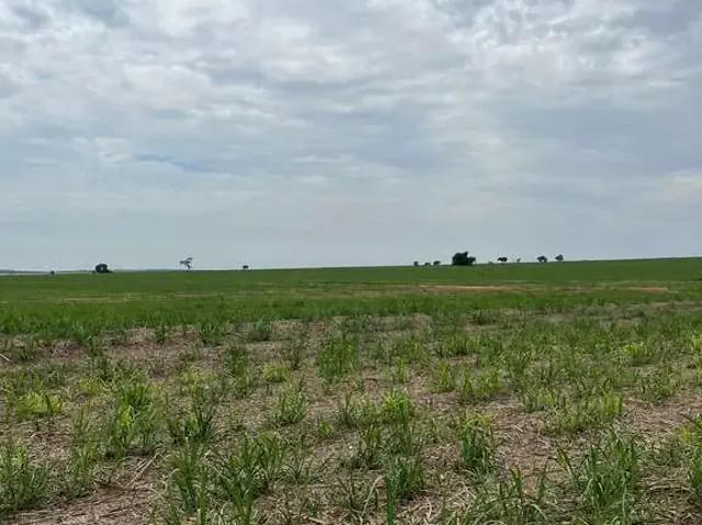 Fazenda para Venda em Presidente Prudente/SP Área Rural de Presidente Prudente