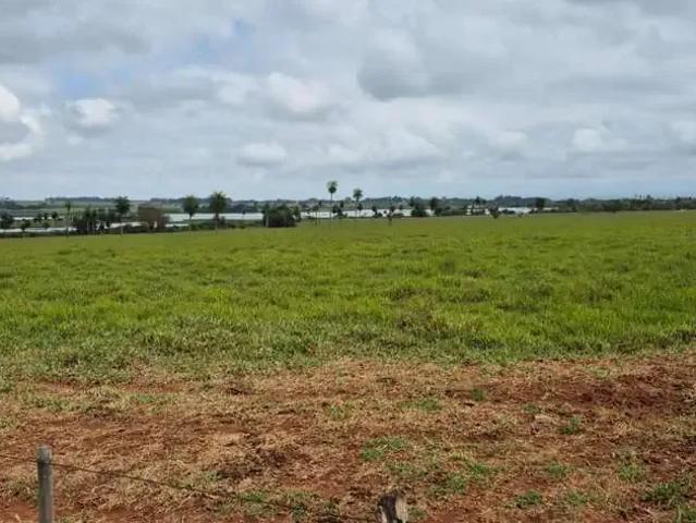 Fazenda para Venda em Presidente Prudente/SP Área Rural de Presidente Prudente 1 Quartos