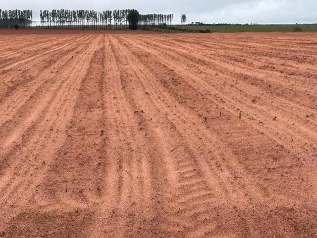 Fazenda para Venda em Primavera do Leste, ÁREA RURAL