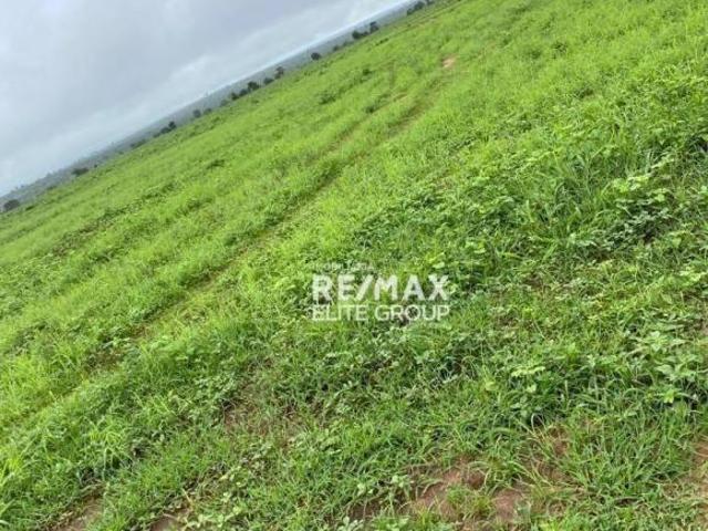 Fazenda para venda em Primavera do Leste