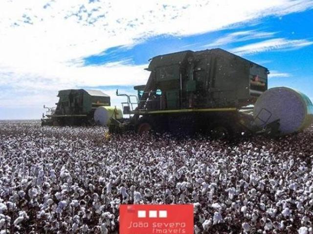 Fazenda para Venda em Primavera do Leste