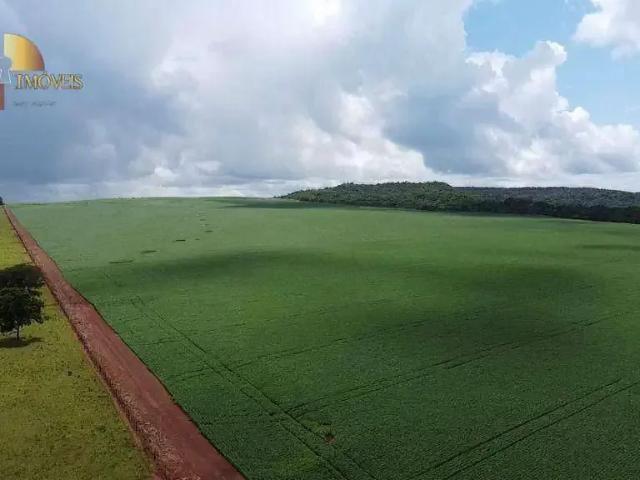 Fazenda para Venda em Primavera do Leste/MT Zona Rural