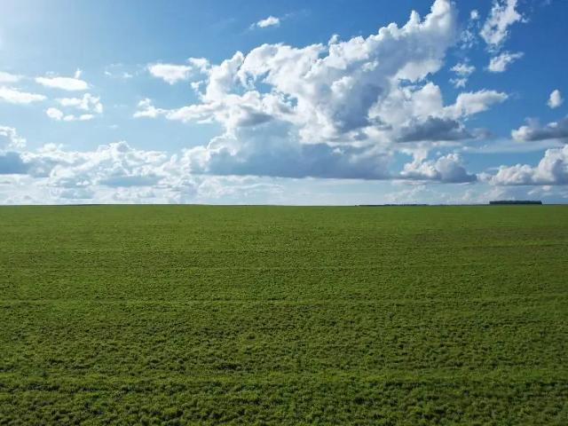 Fazenda para Venda em Primavera do Leste/MT Zona Rural