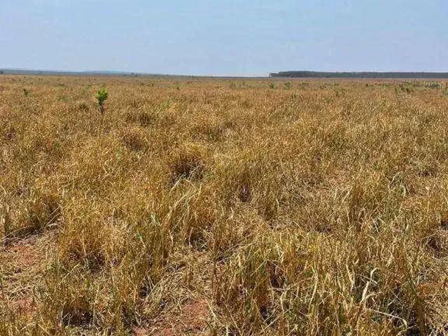 Fazenda para Venda em Primavera do Leste/MT Zona Rural