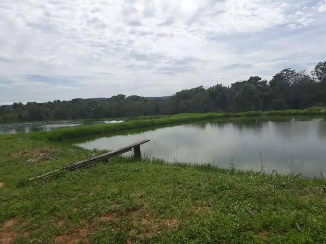 Fazenda para Venda em Primavera do Leste/MT Zona Rural 2 Quartos
