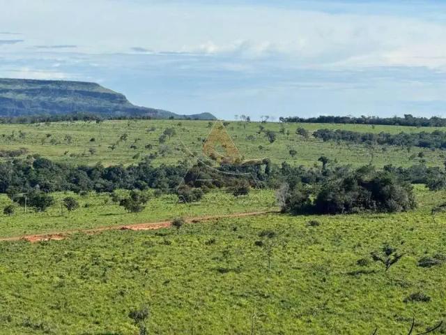 Fazenda para Venda em Primavera do Leste/MT Zona Rural 3 Quartos