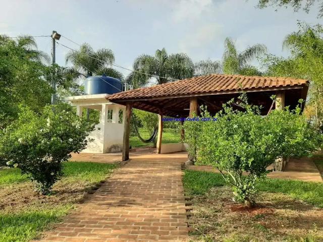 Fazenda para Venda em Quadra/SP Areia Branca 4 Quartos
