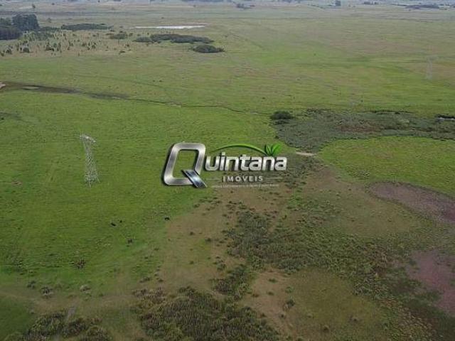 Fazenda para venda em Quinta, Rio Grande