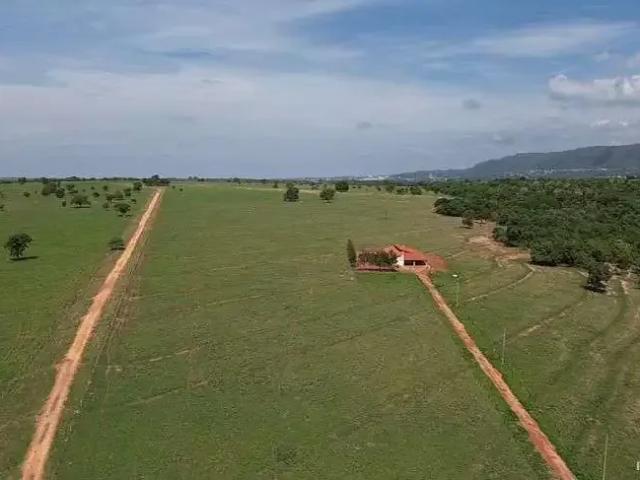 Fazenda para Venda em Quirinópolis/GO Alexandrina